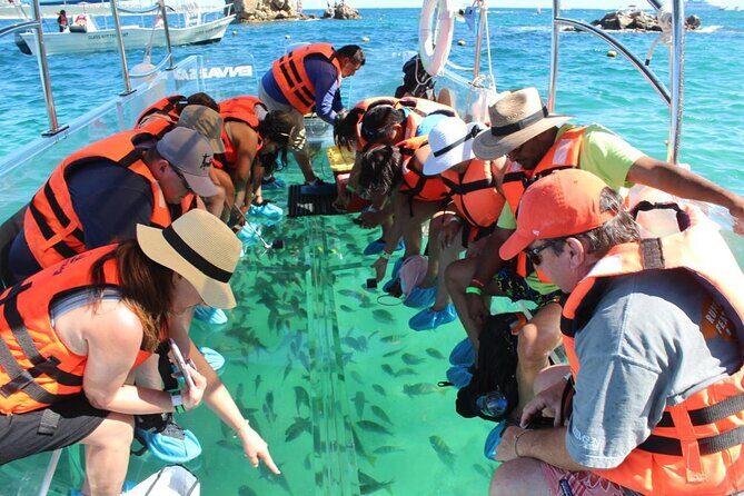 Clear Boat Ride in Los Cabos - Authentic Feedback from Travelers