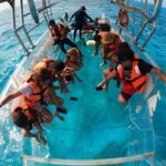 Clear Boat tour in Cancun for 1.5 hours best for photos - Authentic Insights from Travelers