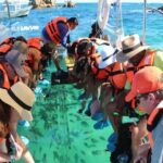 Clear Boat with City Tour - The Real Experience: What Travelers Say