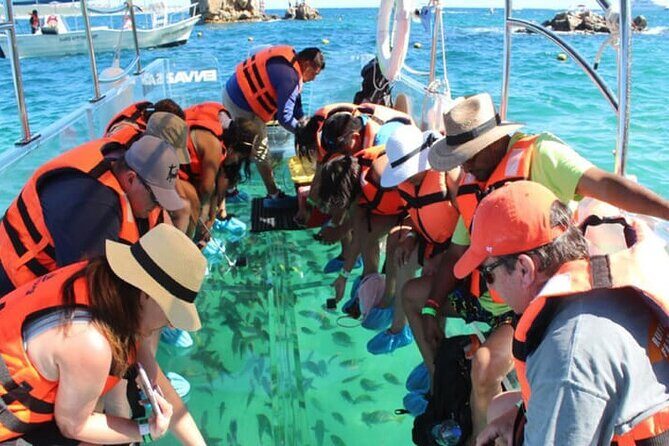Clear Boat with City Tour - The Real Experience: What Travelers Say