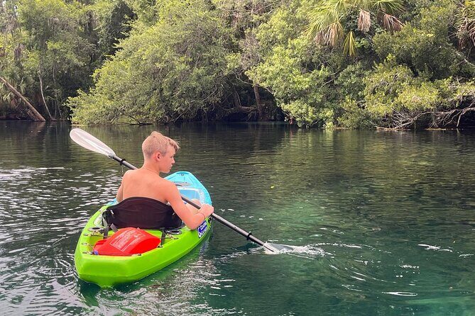 Clear Bottom Kayak Rental for Kings Bay Three Sisters Springs - Who Should Consider This Tour