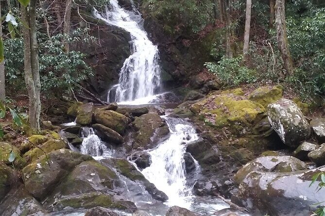 Clear Creek Falls Hike - The Sum Up: Who Should Book?