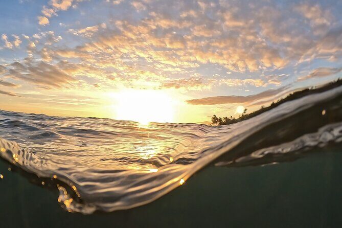 Clear Kayak Sunset and Glow Tour in Maui - Who Will Love This Tour?