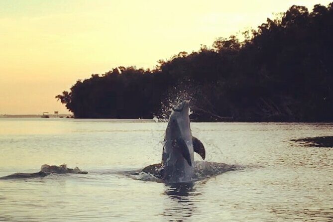 Clear Kayak Sunset Tour - Cocoa Beach - The Experience’s Strengths and Considerations