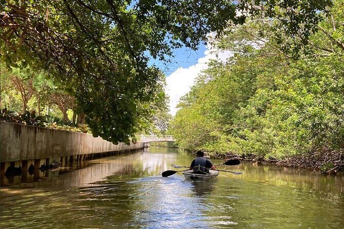 Clear Kayak Tour in South Miami Beach and Biscayne Bay - Who Will Love This Tour?
