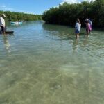 Clear Kayak Tours in Fort Pierce - The Value of the Experience