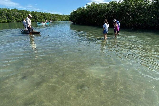Clear Kayak Tours in Fort Pierce - The Value of the Experience