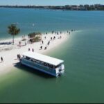 Clearwater Beach: Dolphin & Island Sandbar Cruise - Who Will Love This Tour?