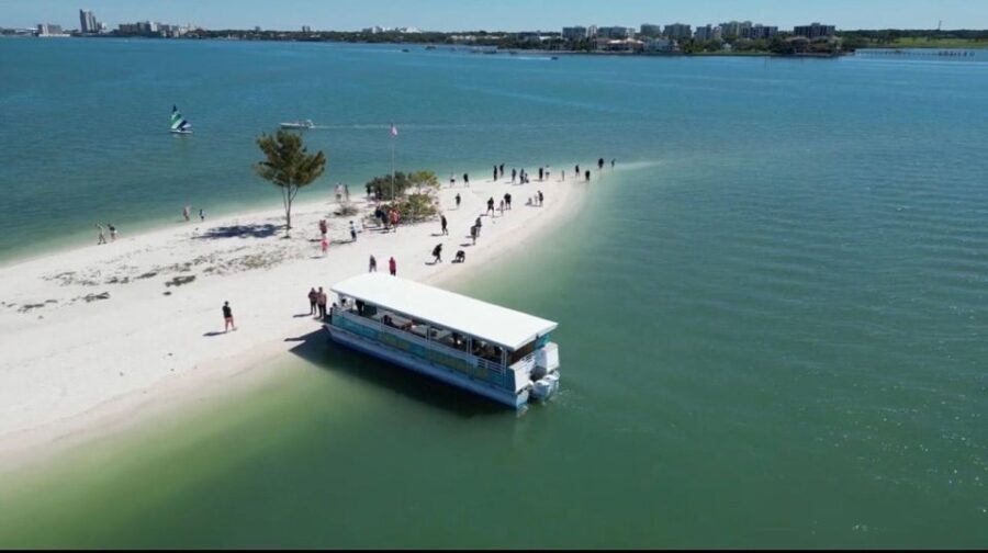 Clearwater Beach: Dolphin & Island Sandbar Cruise - Who Will Love This Tour?