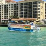 Clearwater Beach: Dolphin-Watching Sunset Cruise - Who Will Love This Tour?