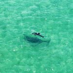 Clearwater: Guided Clear Kayaking Tour - Final Thoughts: Who Is This Tour Best For?