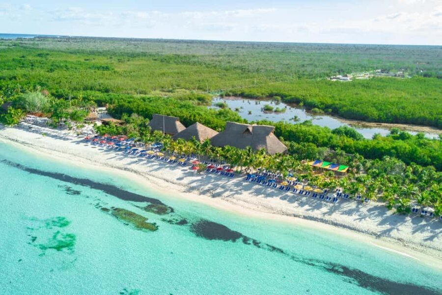 Coastal Thrill Day: Kayak, Paddle & Snorkel at Cozumel - Authentic Experiences and Traveler Insights
