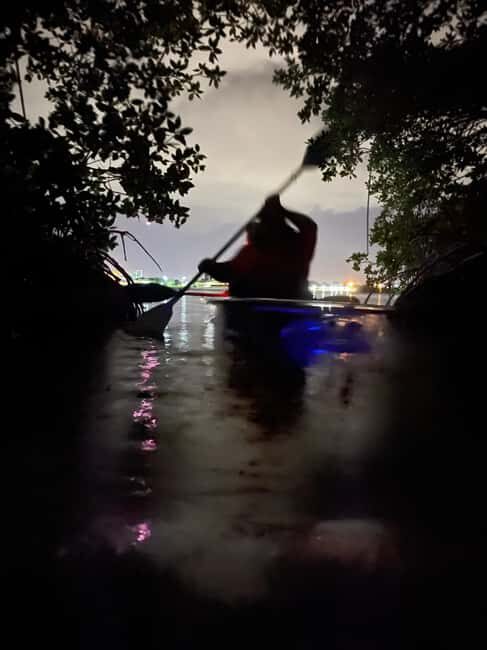 Cocoa Beach: Clear Kayak Sunset & Bioluminescence Tour - Exploring the Experience