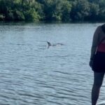 Cocoa Beach: Dolphin and Manatee Kayak or Paddle Tour - Practical Details