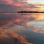 Cocoa Beach: Dolphin & Manatee Pontoon Cruise - An In-Depth Look at the Experience
