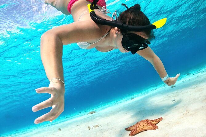 Colombia, Palancar & Cielo Cozumel Snorkel Tour - The Sum Up