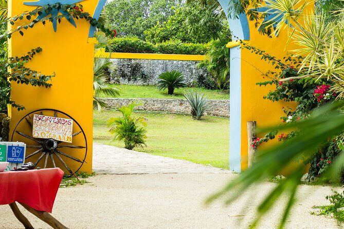 Colonial Valladolid and Cenote Swimming Private Tour from Cancun - Practical Details and What to Expect