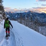 Colorado Backcountry: Guided Snowshoe Tour - What Youll Experience During the Tour