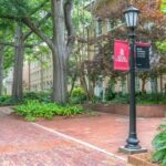Columbia: Capital City Heritage Walk with Local Guide - What to Expect and Practical Details