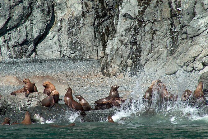 Columbia Glacier Cruise from Valdez - The Experience: What You Can Expect