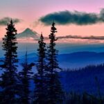 Columbia Gorge Waterfalls & Wineries from Portland: All-Inclusive Afternoon Tour - What Makes This Tour Special?
