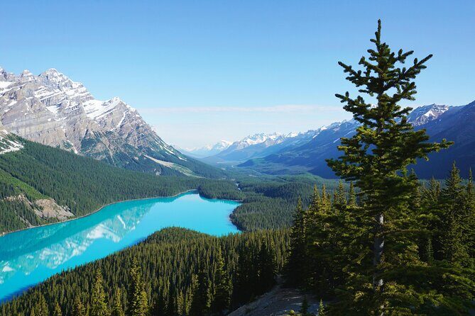Columbia Icefield Bow Lake Peyto Lake Day Tour - What’s Included and What’s Not