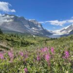 Columbia Icefield: Guided Glacier Hike - Who Should Consider This Tour?