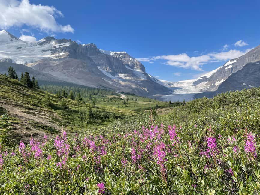 Columbia Icefield: Guided Glacier Hike - Who Should Consider This Tour?