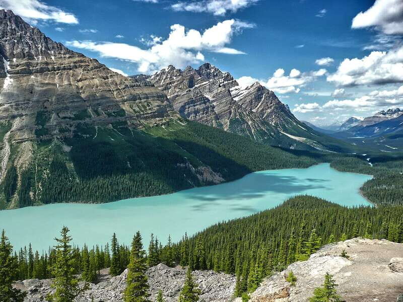 Columbia Icefield, Peyto Lake, Bow Lake Discovery Tour - What Travelers Say