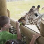 Columbus: Multiple Attractions Pass - Practical Considerations and Tips