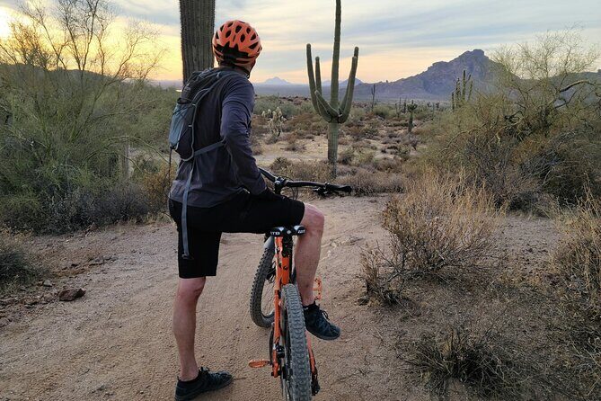 Combo E-Bike Adventure with Camels and Lunch in Cabo - Exploring the Details of the Tour