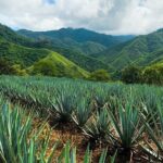 Combo Extreme Adventure + San Sebastian - Practical Details and Considerations