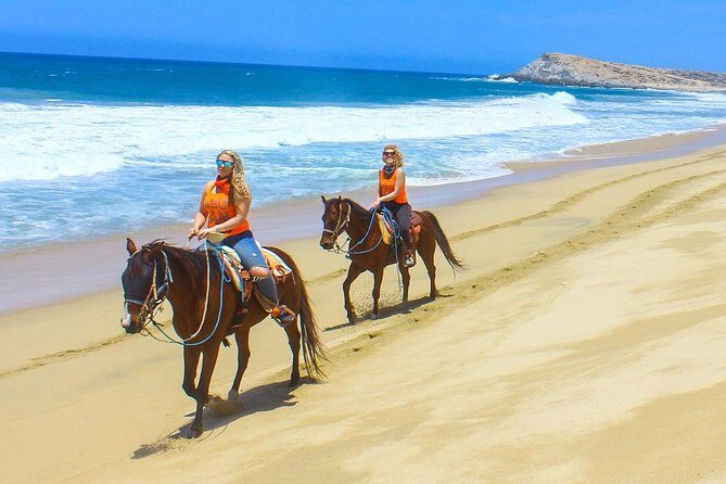 COMBO Horseback Riding & UTV Tour - Practical Details and Considerations