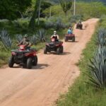 COMBO Zip lines and ATV´s at Hacienda Los Osuna - Authenticity and Safety: What Travelers Say