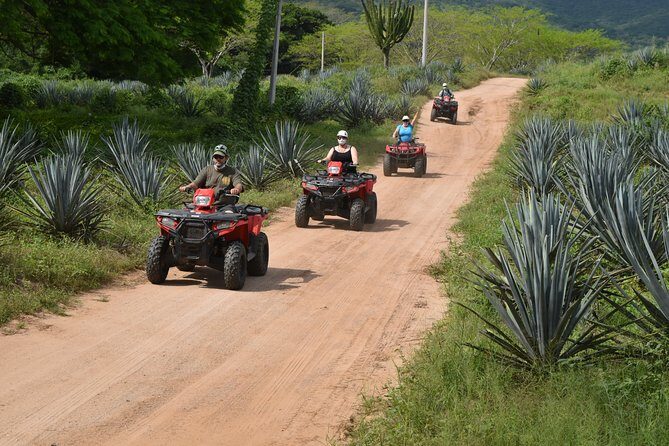 COMBO Zip lines and ATV´s at Hacienda Los Osuna - Authenticity and Safety: What Travelers Say