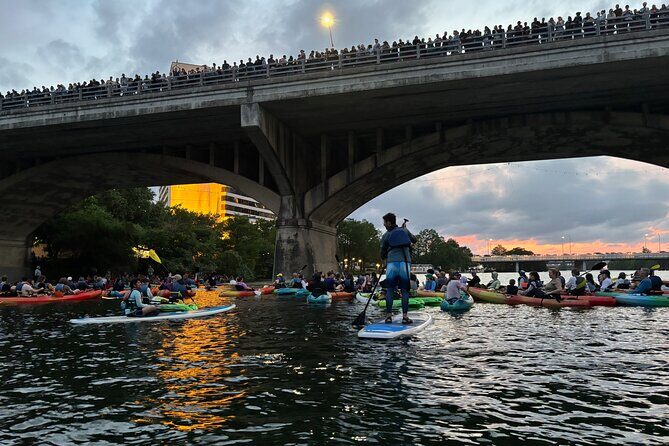Congress Avenue Bat Bridge Paddleboard Tour - Who Will Enjoy This Tour?