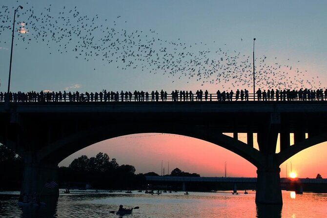 Congress Bridge Kayaking Bat Tour - Why This Tour Is a Great Choice