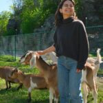 Connect with Rescue Animals on a Private Farm Tour in Catskills - Practical Details: Things to Know Before You Go