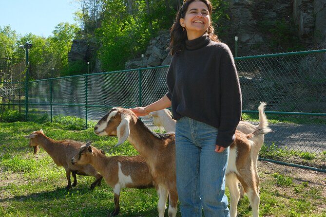 Connect with Rescue Animals on a Private Farm Tour in Catskills - Practical Details: Things to Know Before You Go