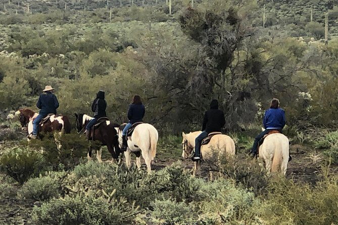 Contact us to book your time. Best Trail Rides in Arizona. - The Sum Up