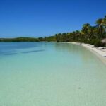 Contoy Island Tour from Playa del Carmen & Cancun - Practical Tips for Travelers