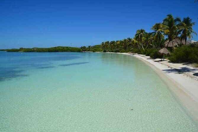 Contoy Island Tour from Playa del Carmen & Cancun - Practical Tips for Travelers