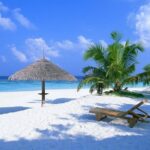 Contoy Reef & Isla Mujeres Tour! From Cancun & Playa del Carmen - What’s Included and What’s Not