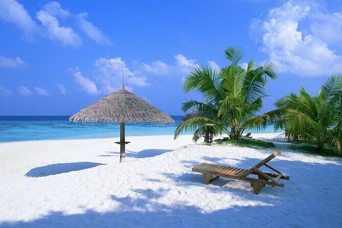 Contoy Reef & Isla Mujeres Tour! From Cancun & Playa del Carmen - What’s Included and What’s Not