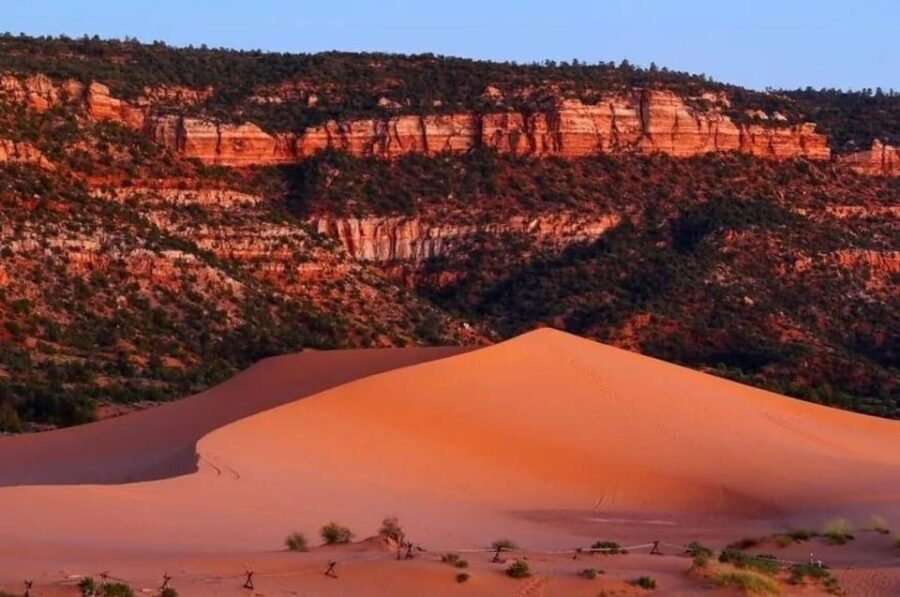 Coral Pink Sand Dunes: UTV Sunset Ride - What to Expect on the Tour