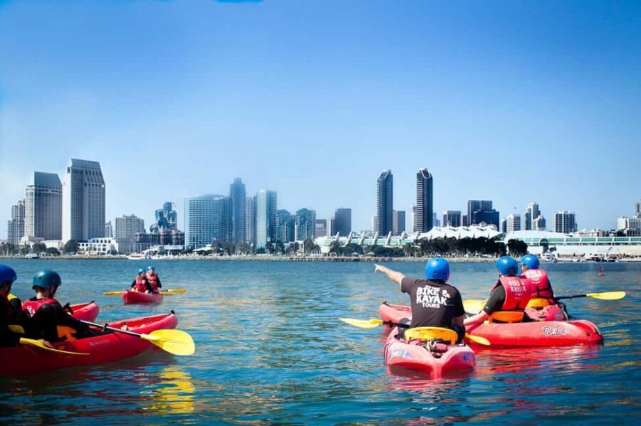 Coronado Guided Kayak Tour 90-Min - Final Thoughts: Is It Worth It?