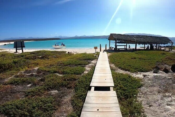 Coronado Island Adventure, snorkeling & picnic on the beach - What Travelers Can Expect from the Experience