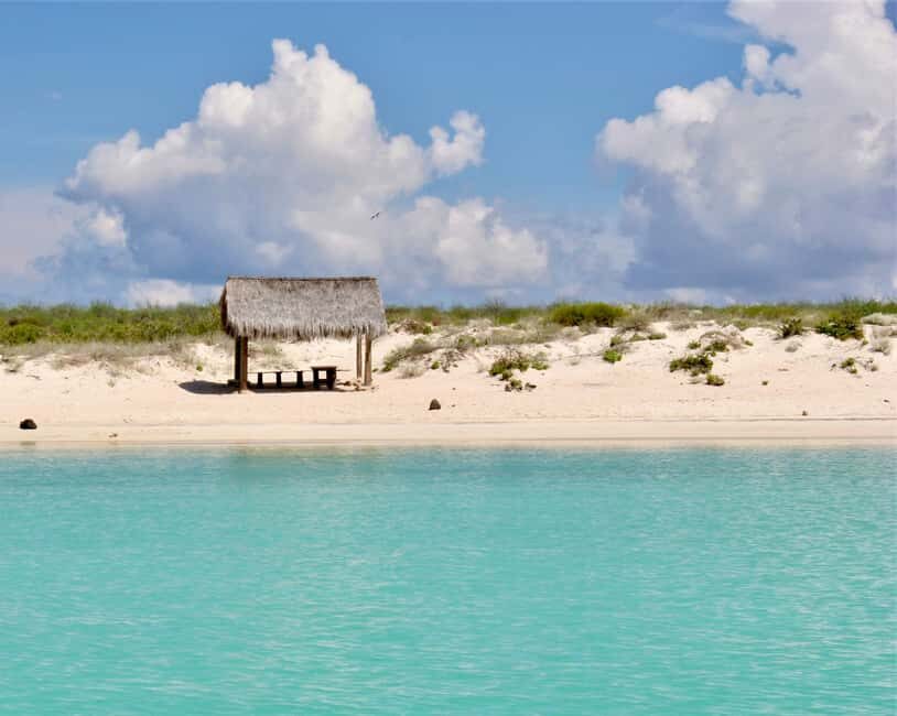 Coronado Island and Snorkel Tour - Why This Tour Offers Good Value