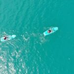 Costa Maya: Bacalar Seven Color Lagoon Kayak Adventure - Transport and Pricing: Is It Good Value?