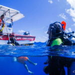 Costa Maya: Discover Scuba Diving Reef Experience - The Value Proposition
